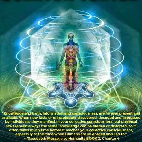 HONESTY: Sabe’s medicine and teachings – Sasquatch Close Encounter ...