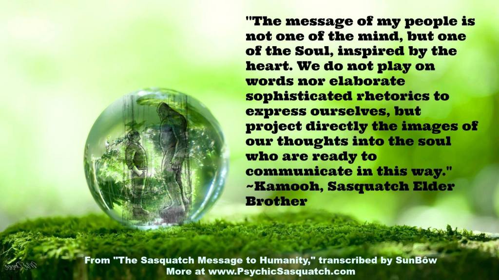 Tsul ‘Kalu, the Cherokee ”Giant Devil” – Sasquatch Close Encounter ...