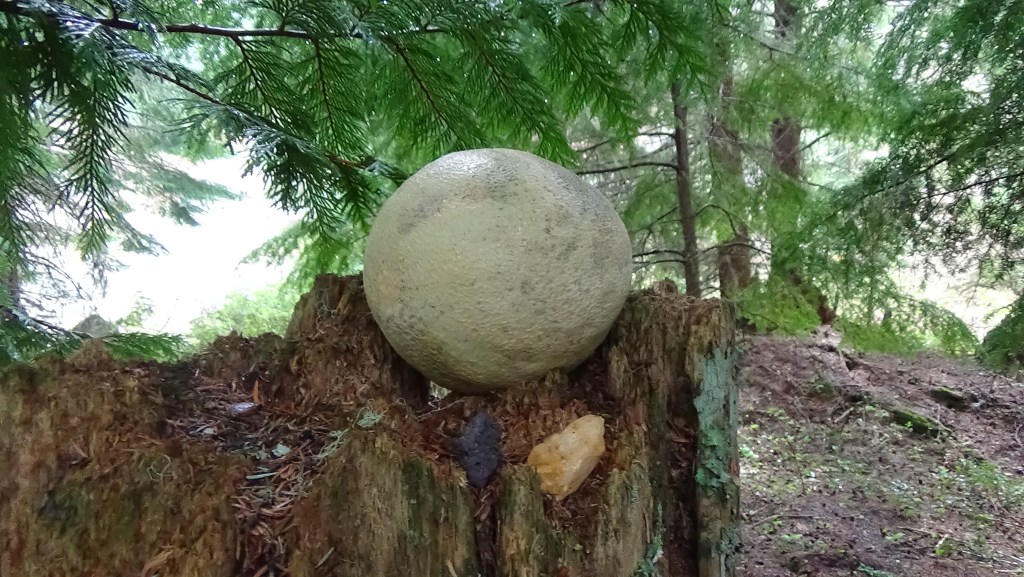 Our expedition to Sasquatch Lake, BC, May 24, 2018 – Sasquatch Close ...