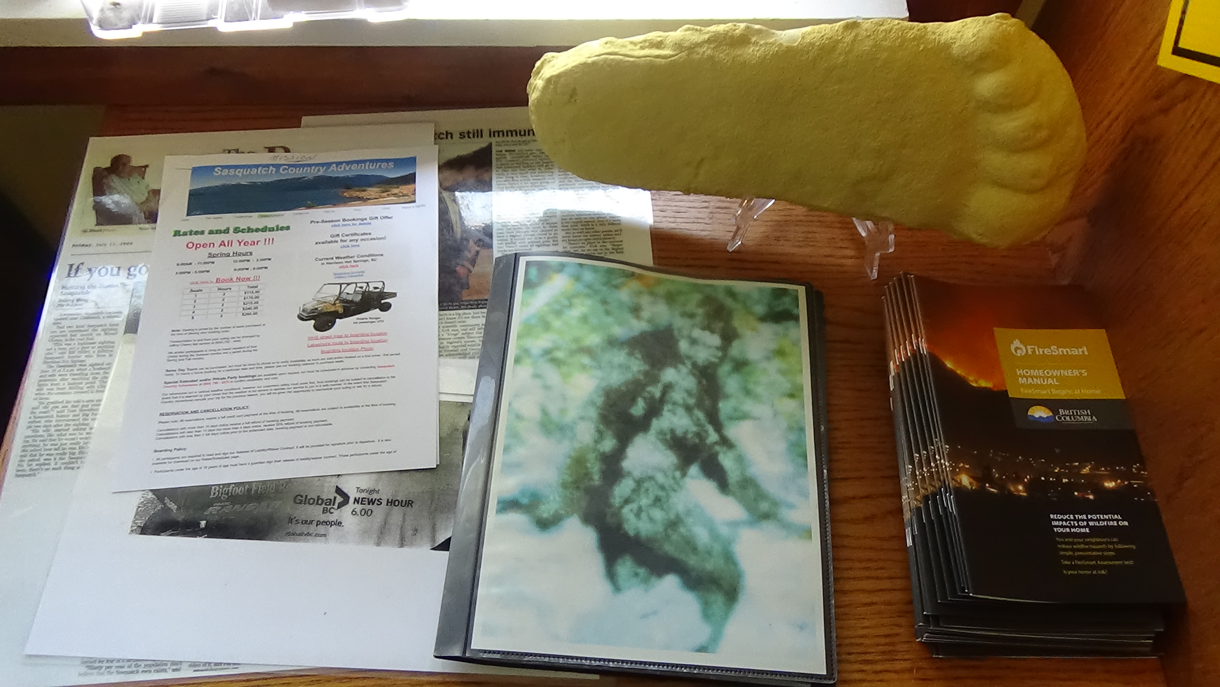 Sasquatch Provincial Park and Harrison Hot Springs, the ”Sasquatch ...