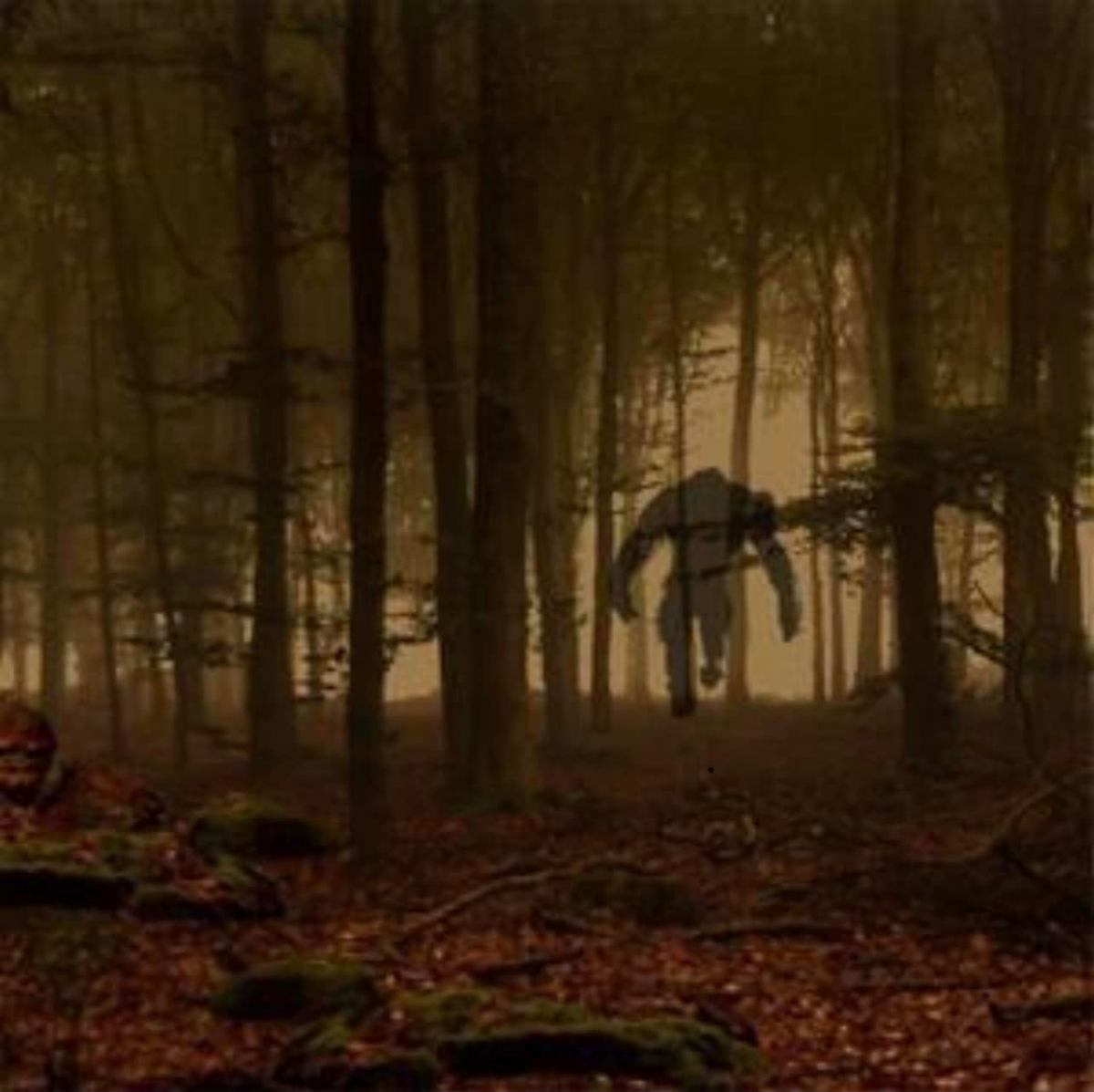 Massive Sasquatch observed by pilot near Kelowna, BC – Sasquatch Close ...