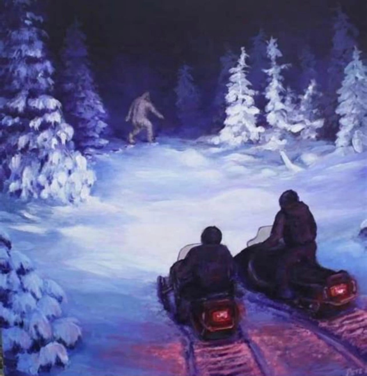 Sasquatch Activity in Southern Quebec – Sasquatch Close Encounter ...