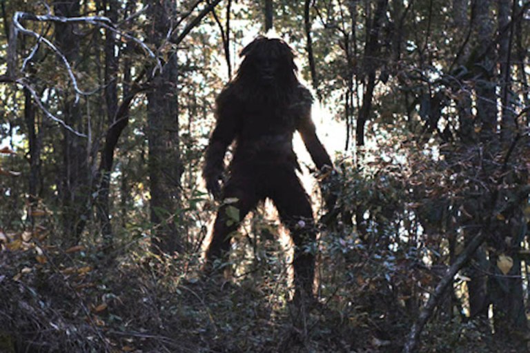 Thermal images of a Yowie captured in Queensland in 2021 – Sasquatch ...