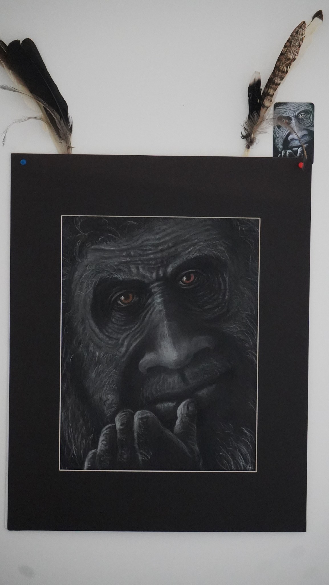 New Message from Kamooh, transcribed by SunBôw – Sasquatch Close ...
