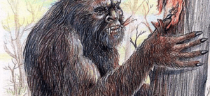 Yowie Central, on telepathy, inter-species communication and ...