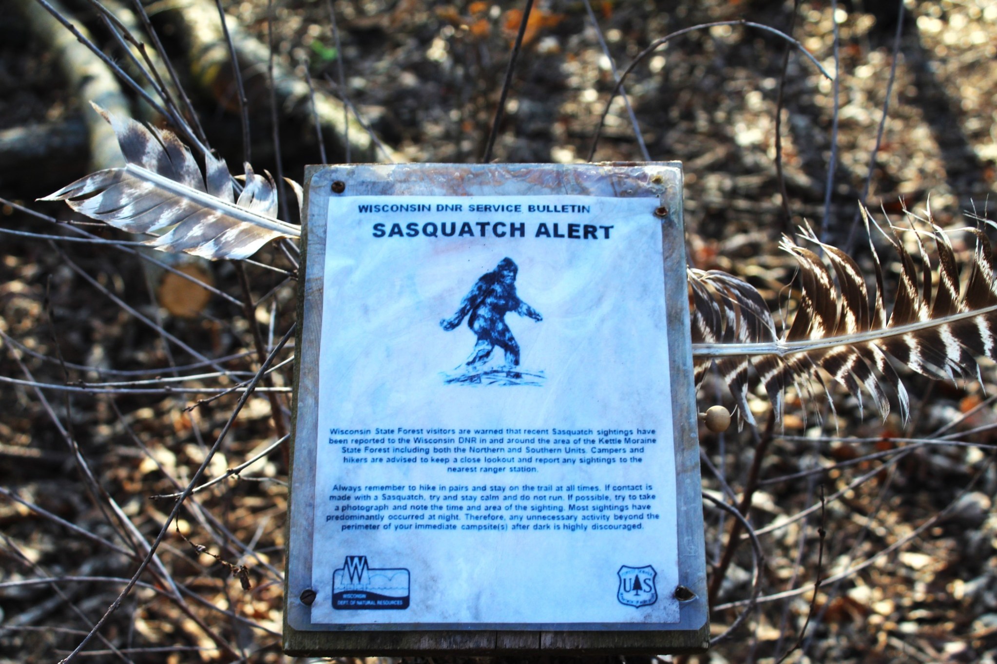 Washington state proclaimed Sasquatch its official state monster ...